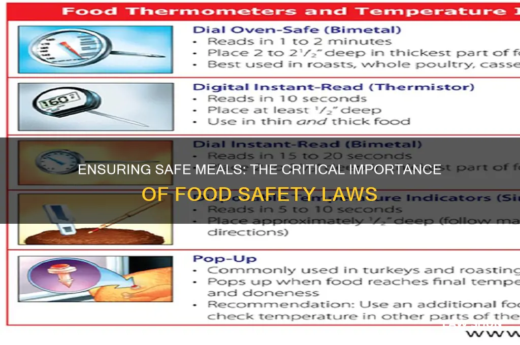 Ensuring Safe Meals: The Critical Importance Of Food Safety Laws | LawShun