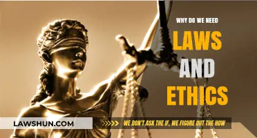 Why Australia Needs Laws: Safeguarding Society, Justice, And Order ...