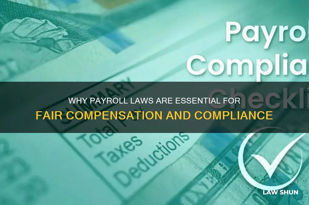 Why Payroll Laws Are Essential For Fair Compensation And Compliance ...