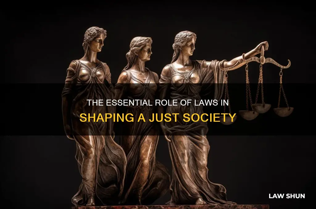 The Essential Role Of Laws In Shaping A Just Society | LawShun