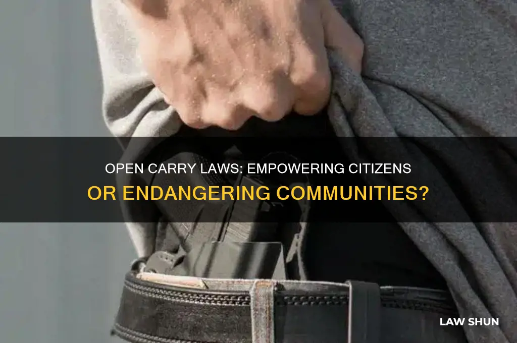 Open Carry Laws: Empowering Citizens Or Endangering Communities? | LawShun
