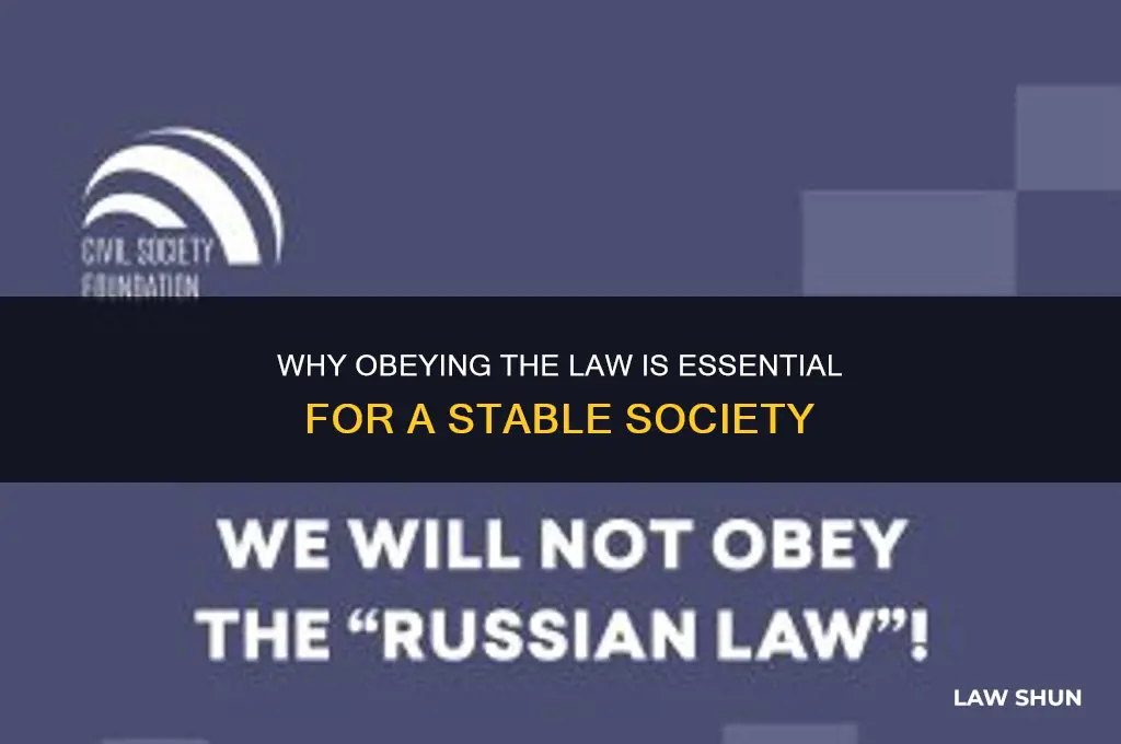 Why Obeying The Law Is Essential For A Stable Society | LawShun