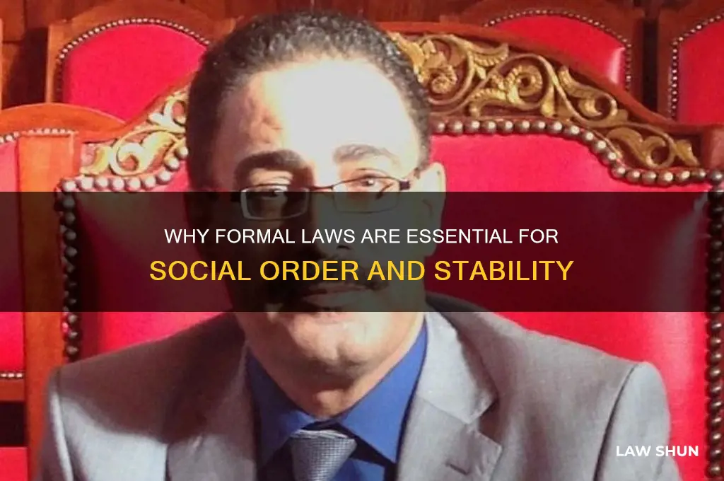 Why Formal Laws Are Essential For Social Order And Stability | LawShun