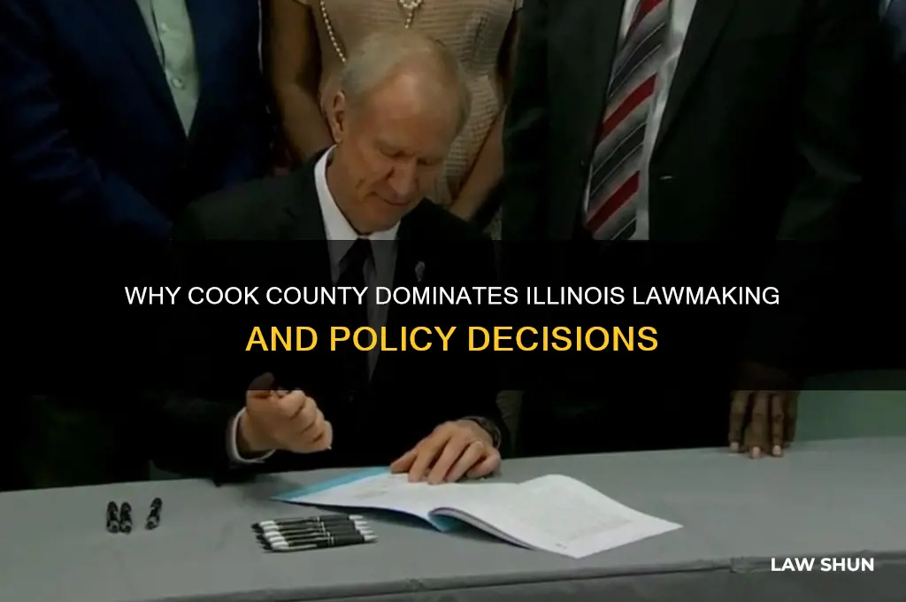 Why Cook County Dominates Illinois Lawmaking And Policy Decisions | LawShun