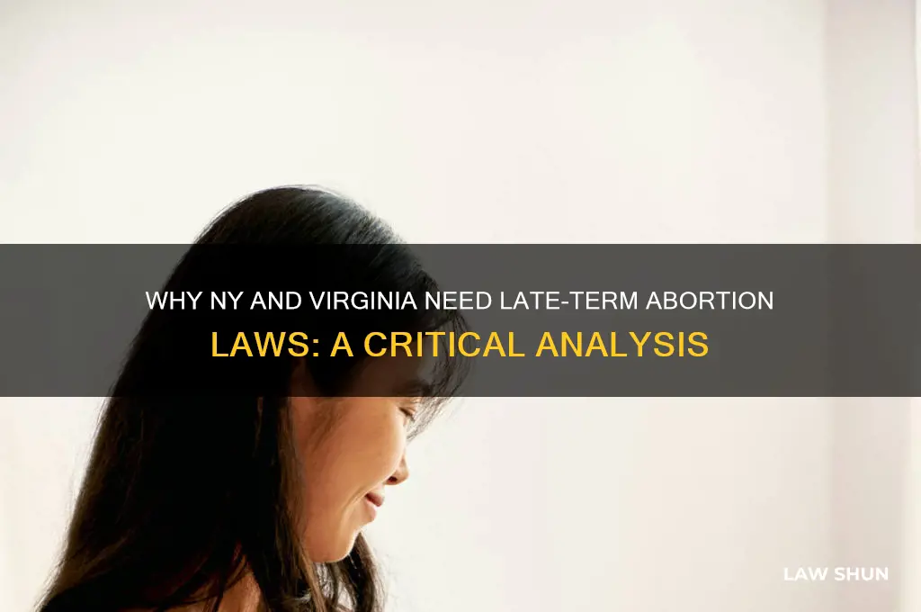 Why Ny And Virginia Need Late-Term Abortion Laws: A Critical Analysis ...