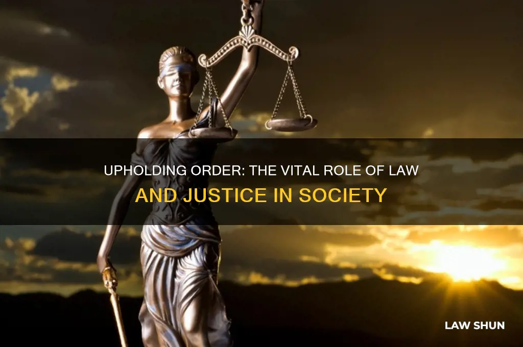 Upholding Order: The Vital Role Of Law And Justice In Society | LawShun