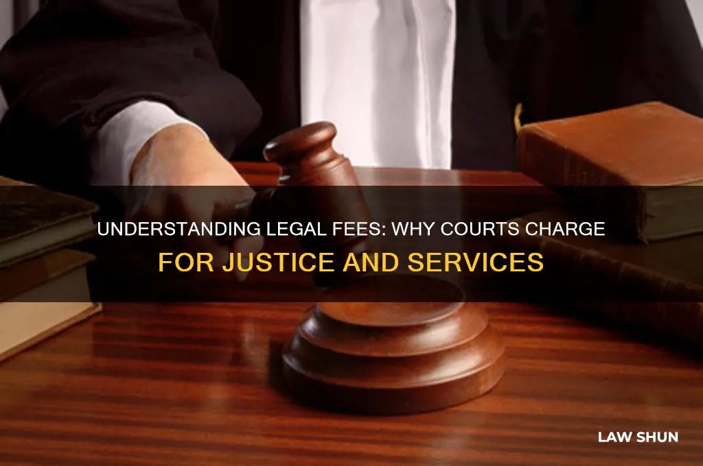 Understanding Legal Fees: Why Courts Charge For Justice And Services ...