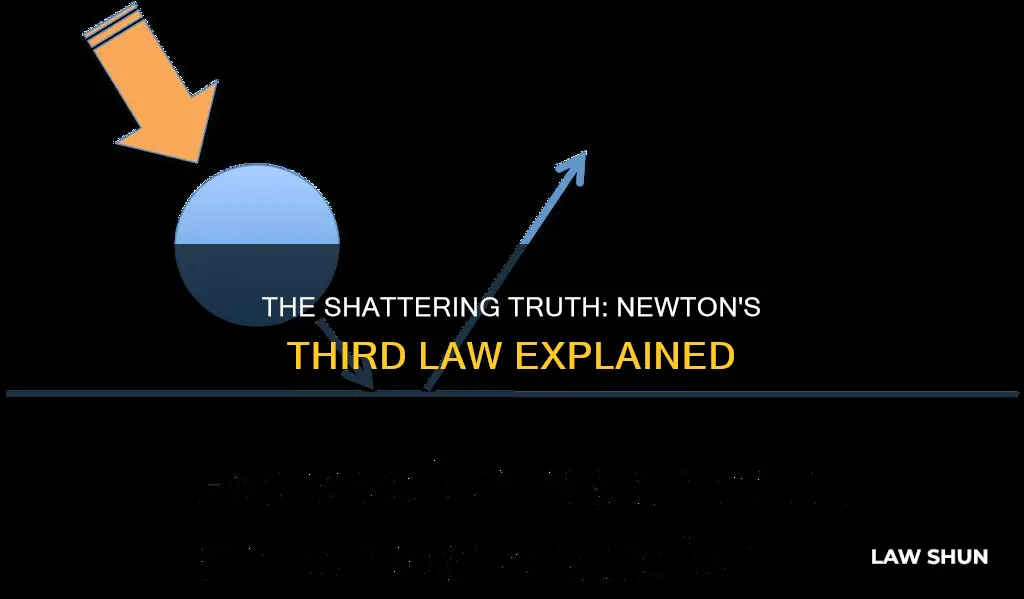 The Shattering Truth: Newton's Third Law Explained | LawShun