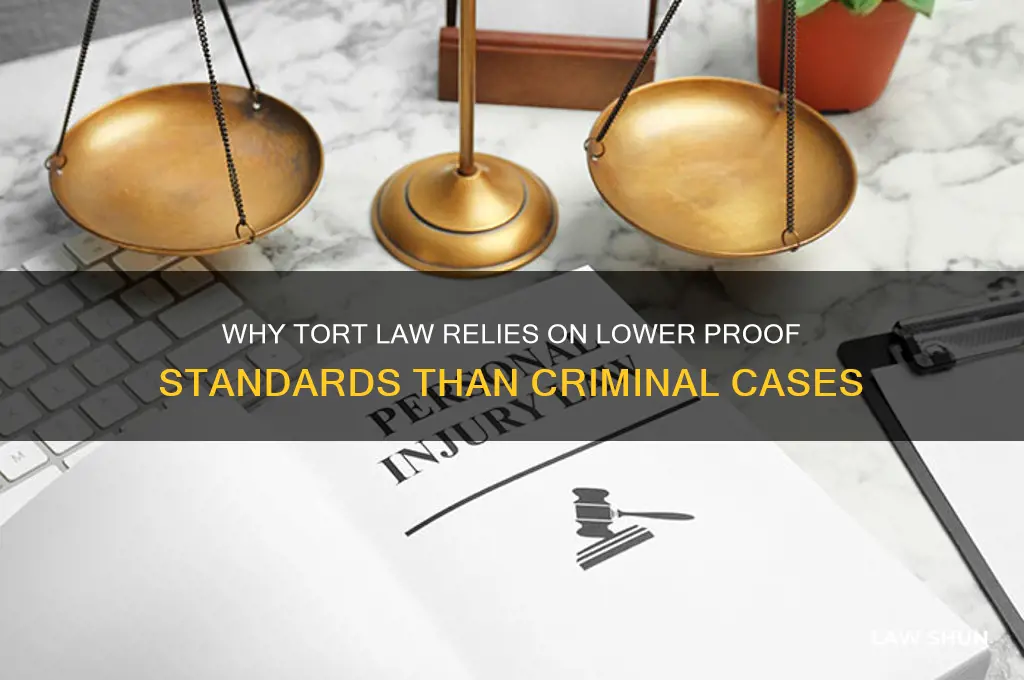 Why Tort Law Relies On Lower Proof Standards Than Criminal Cases | LawShun