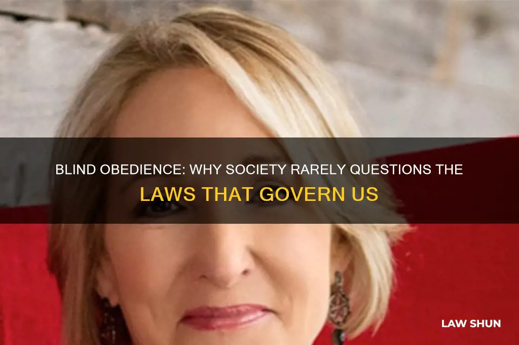 Blind Obedience: Why Society Rarely Questions The Laws That Govern Us ...