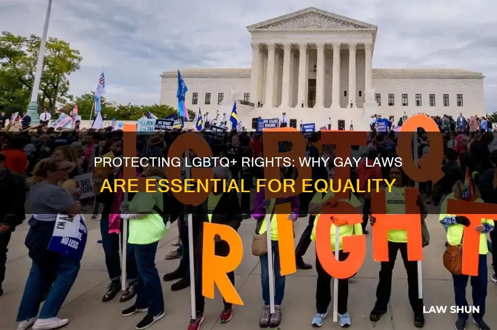 Protecting Lgbtq+ Rights: Why Gay Laws Are Essential For Equality | LawShun