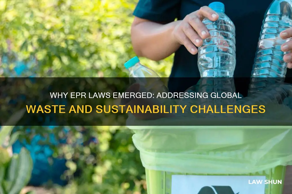 Why Epr Laws Emerged: Addressing Global Waste And Sustainability ...