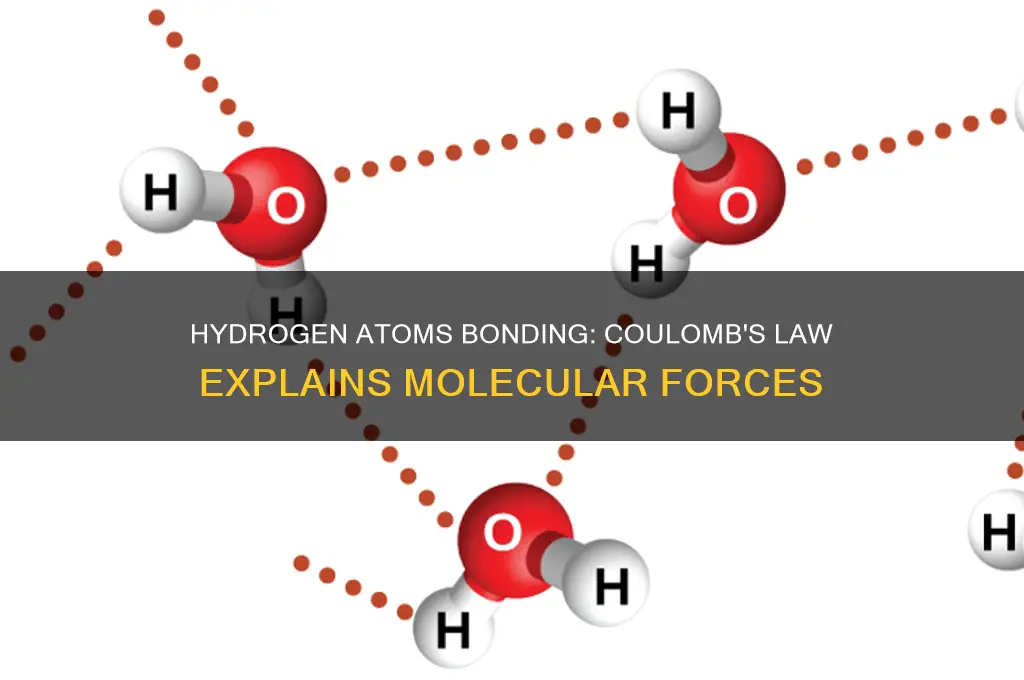 Hydrogen Atoms Bonding: Coulomb's Law Explains Molecular Forces | LawShun
