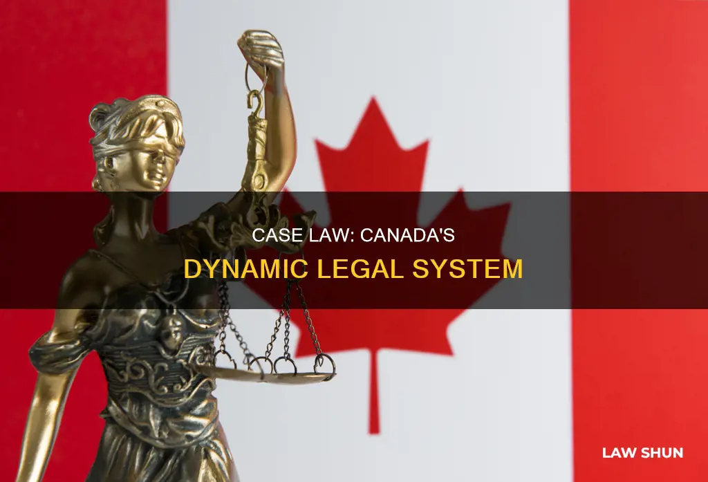 Case Law: Canada's Dynamic Legal System | LawShun