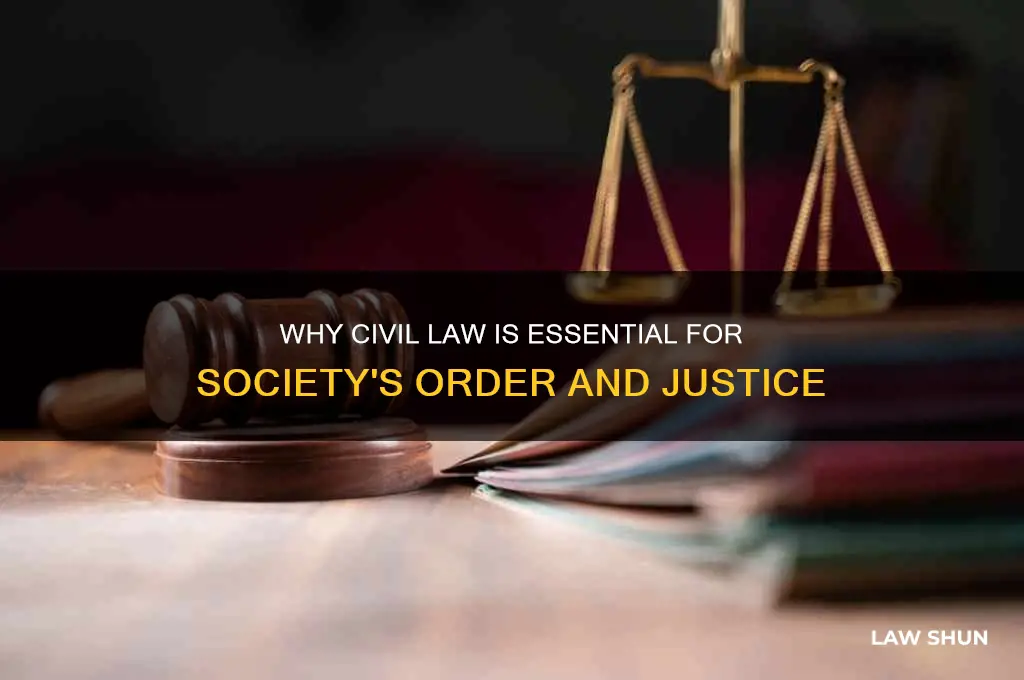 Why Civil Law Is Essential For Society's Order And Justice | LawShun