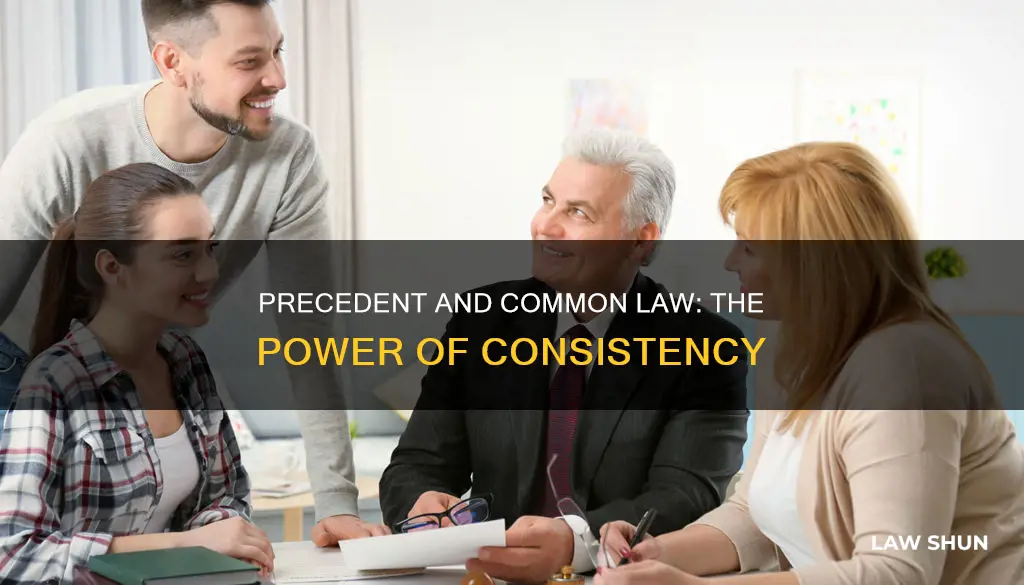 Precedent And Common Law: The Power Of Consistency | LawShun
