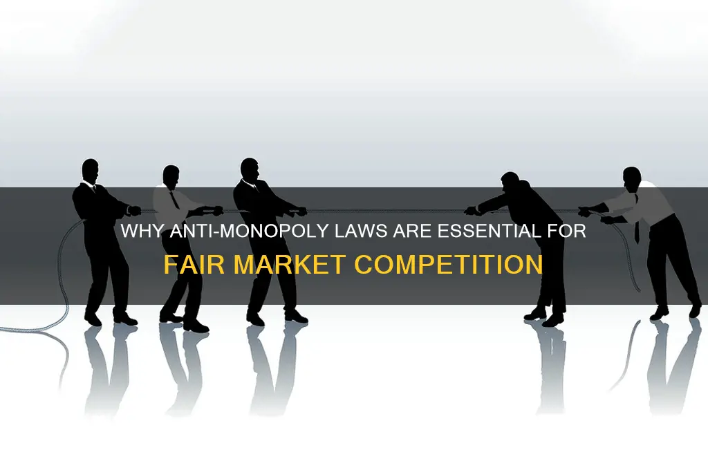 Why Anti-Monopoly Laws Are Essential For Fair Market Competition | LawShun