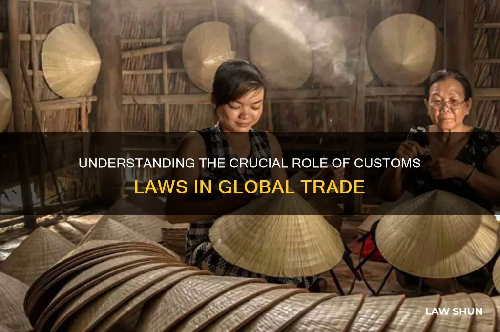 Understanding The Crucial Role Of Customs Laws In Global Trade | LawShun