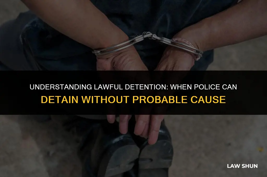 Understanding Lawful Detention: When Police Can Detain Without Probable ...