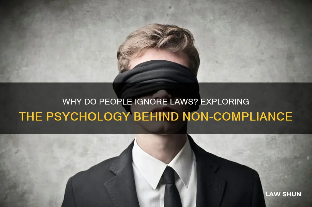 Why Do People Ignore Laws? Exploring The Psychology Behind Non ...