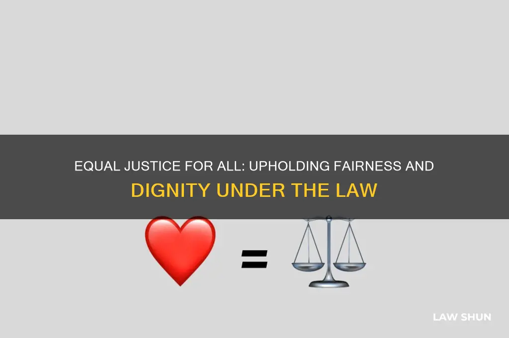 Equal Justice For All: Upholding Fairness And Dignity Under The Law ...