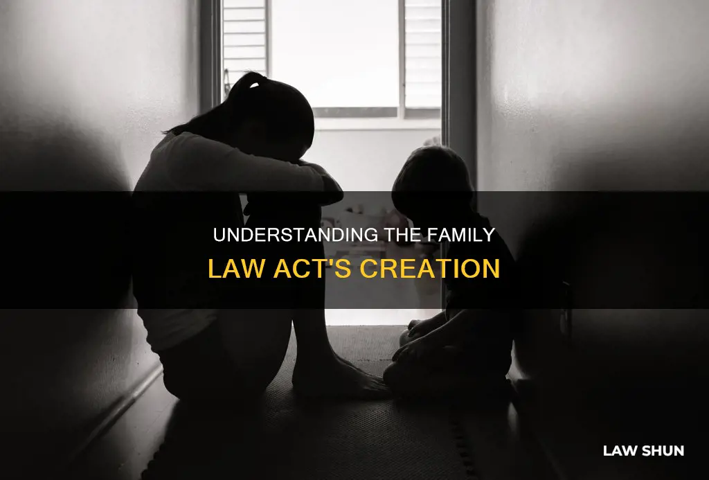 Understanding The Family Law Act's Creation | LawShun