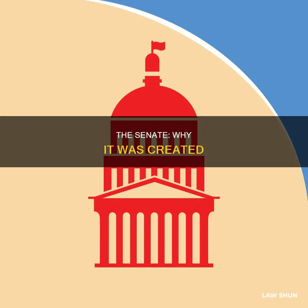 The Senate: Why It Was Created | LawShun