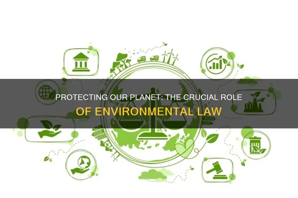 Protecting Our Planet: The Crucial Role Of Environmental Law | LawShun