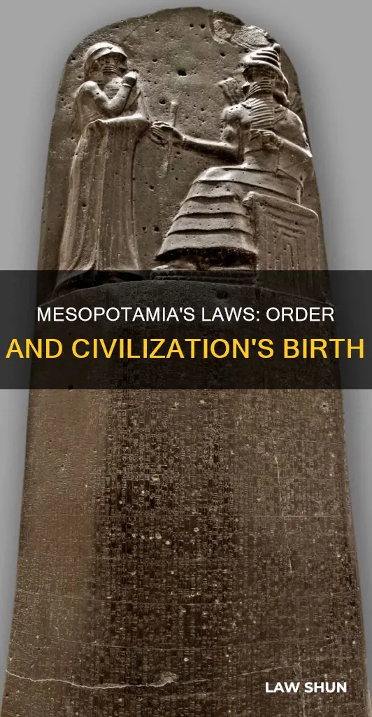 Mesopotamia's Laws: Order And Civilization's Birth | LawShun