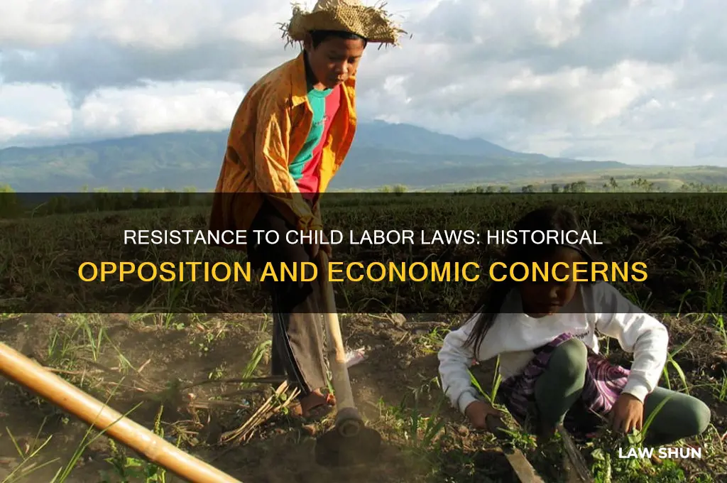Resistance To Child Labor Laws: Historical Opposition And Economic ...