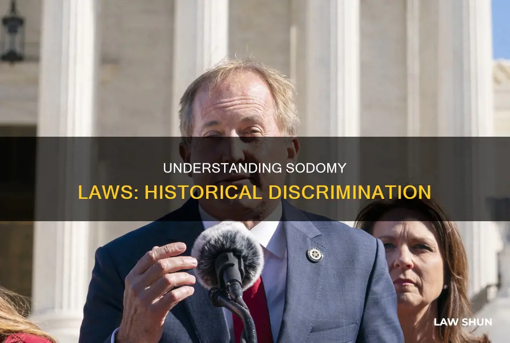 Understanding Sodomy Laws: Historical Discrimination | LawShun