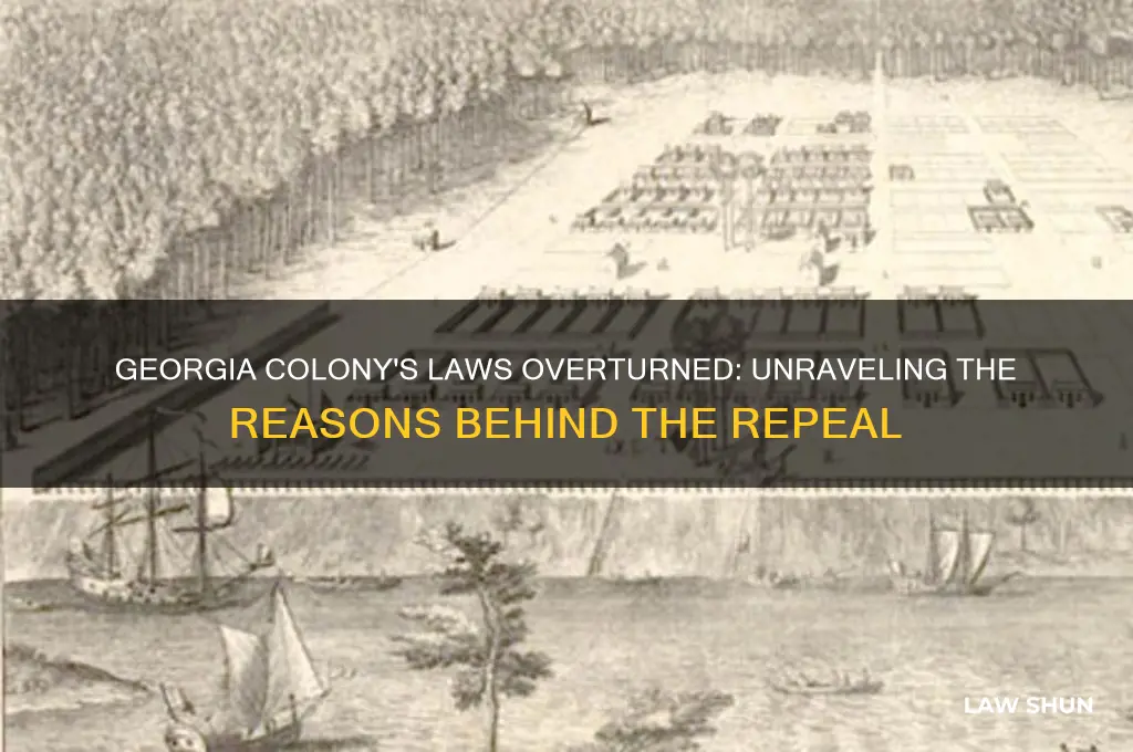 Georgia Colony's Laws Overturned: Unraveling The Reasons Behind The ...