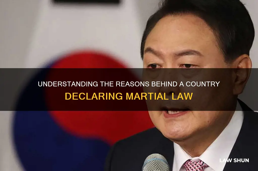 Understanding The Reasons Behind A Country Declaring Martial Law | LawShun